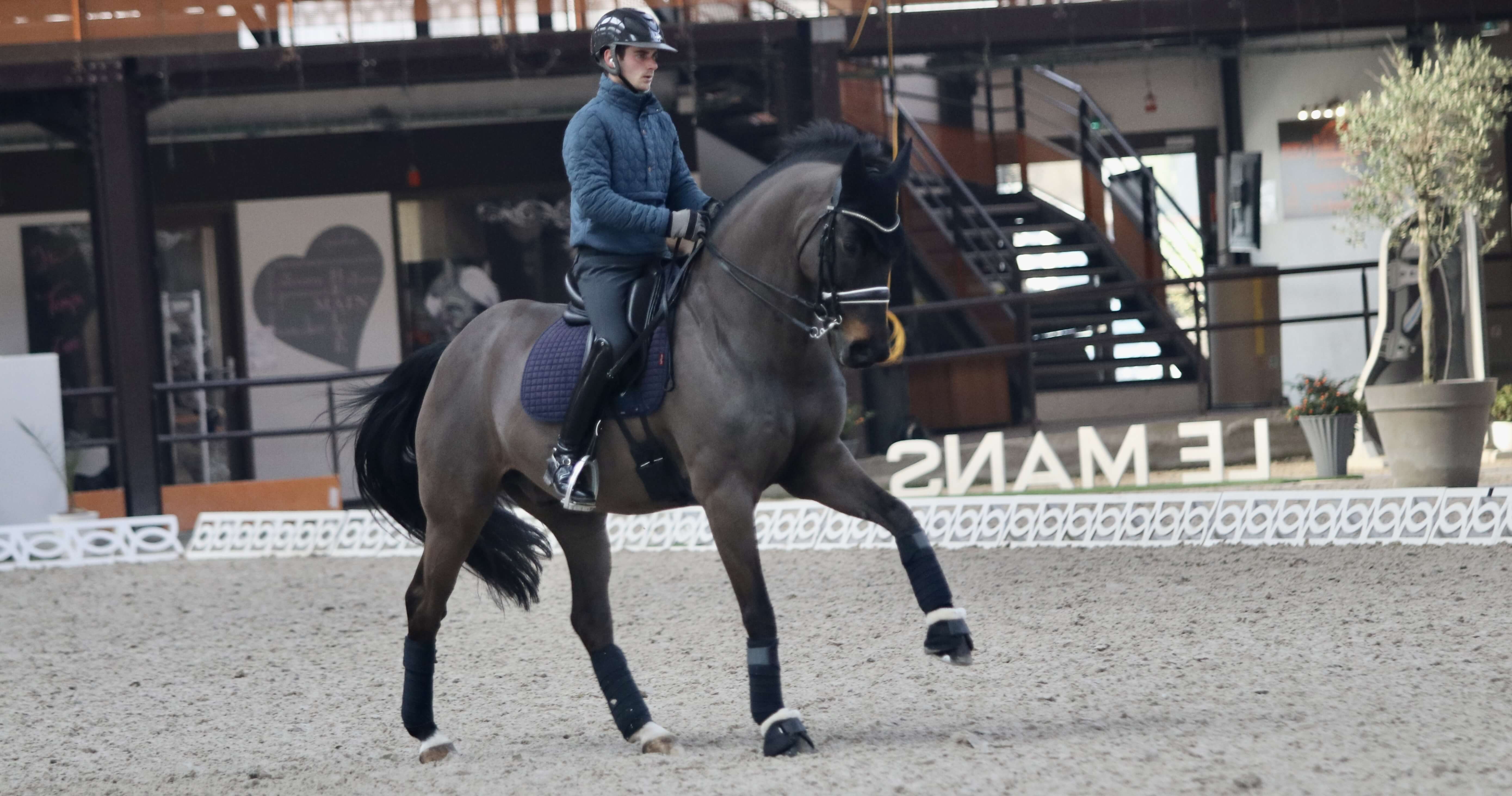 Technique dressage : The counter canter - Articles - Discover content ...