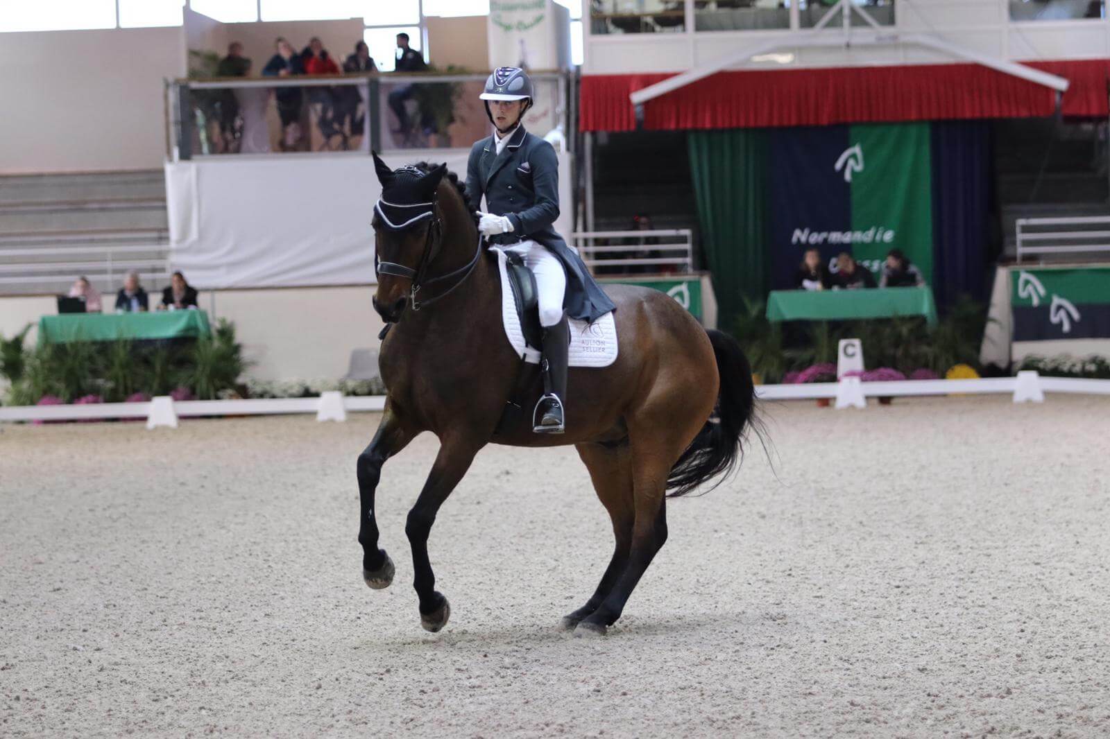 Technique Dressage : la pirouette au galop - Blog