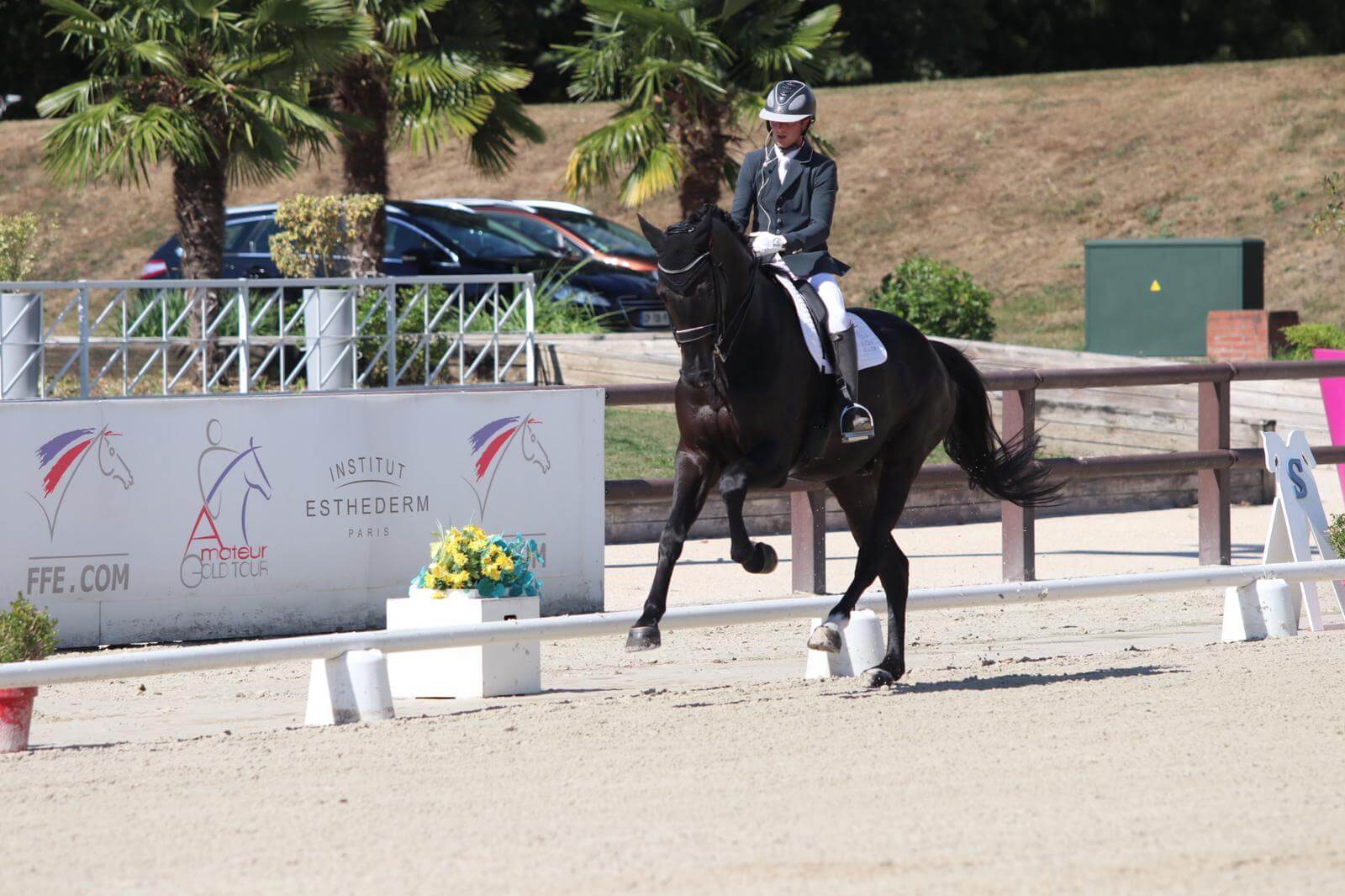 Technique Dressage : partir au galop - Blog - Pamfou dressage vous ...